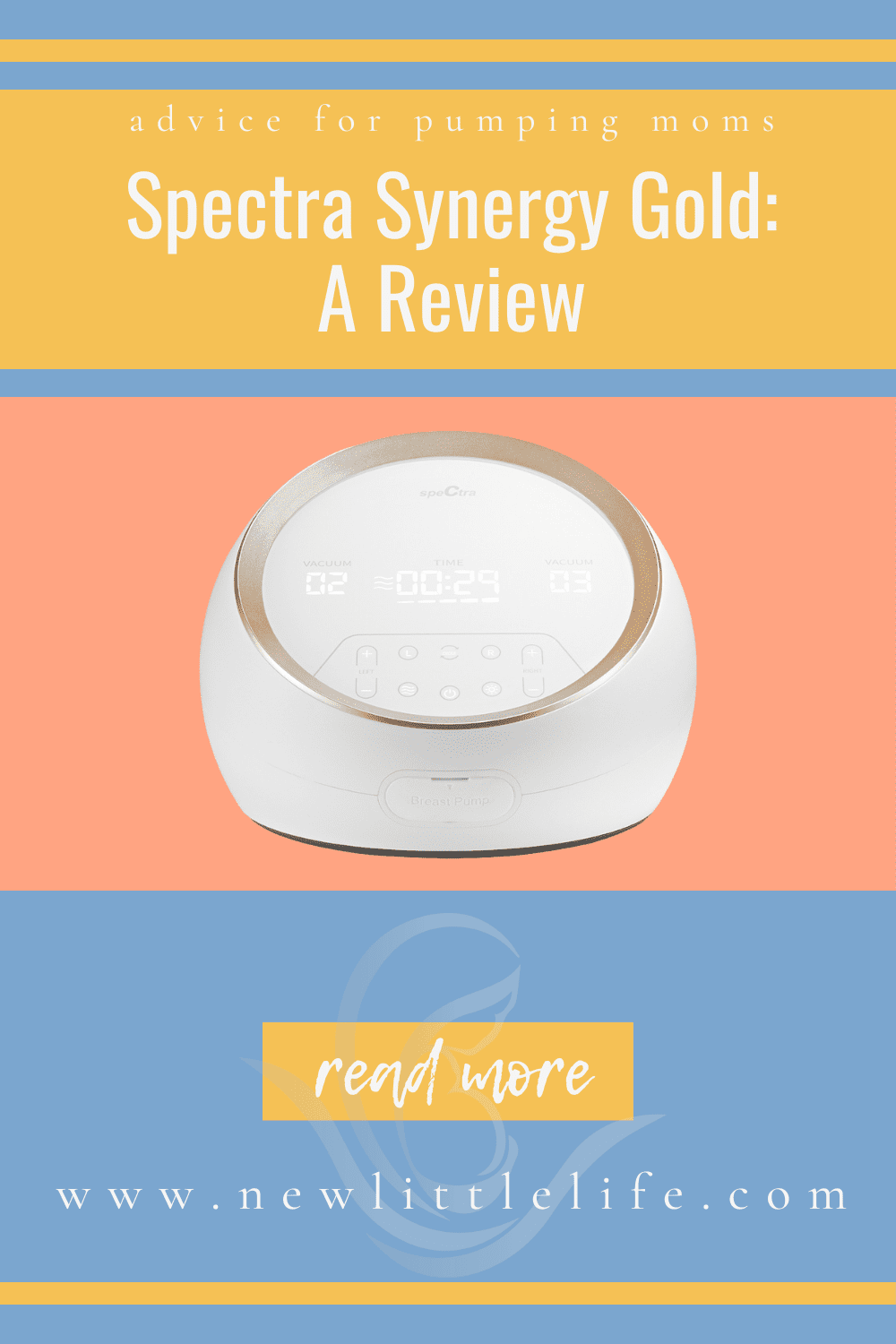 Spectra Synergy Gold: A Review - New Little Life